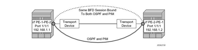 Bi-Directional Forwarding Detection